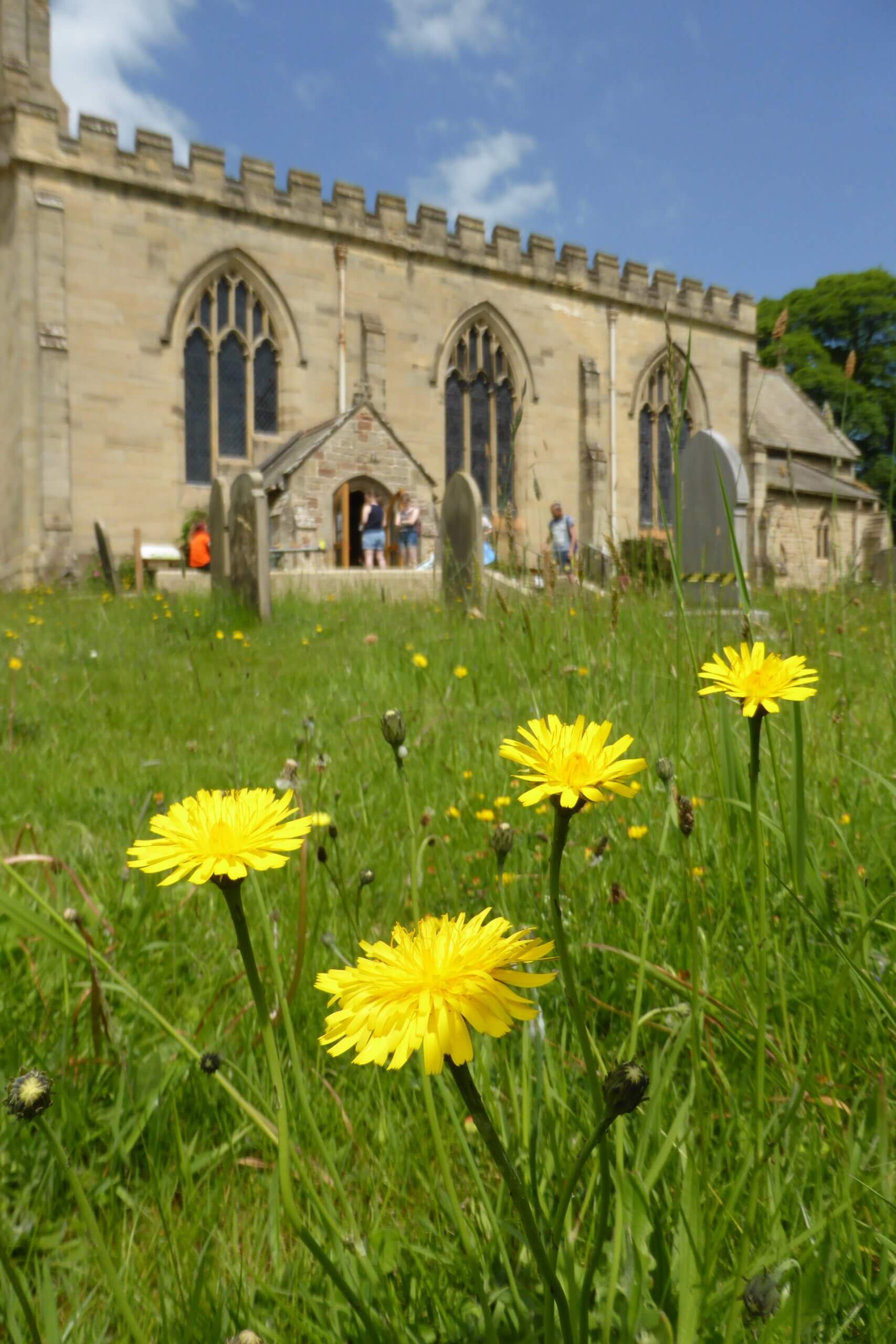 What biodiversity & wildlife is in YOUR churchyard? – GreenChristian